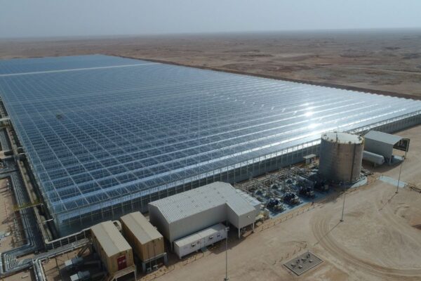 Best Direction for Solar Panels in Oman - Energy & Water Oman